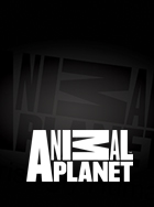 Optimum TV to GO - Watch TV Anywhere | Optimum